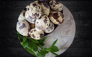 Japanese Quail Eggs | Fresh White & Naturally Laid Nutritious Brown ...